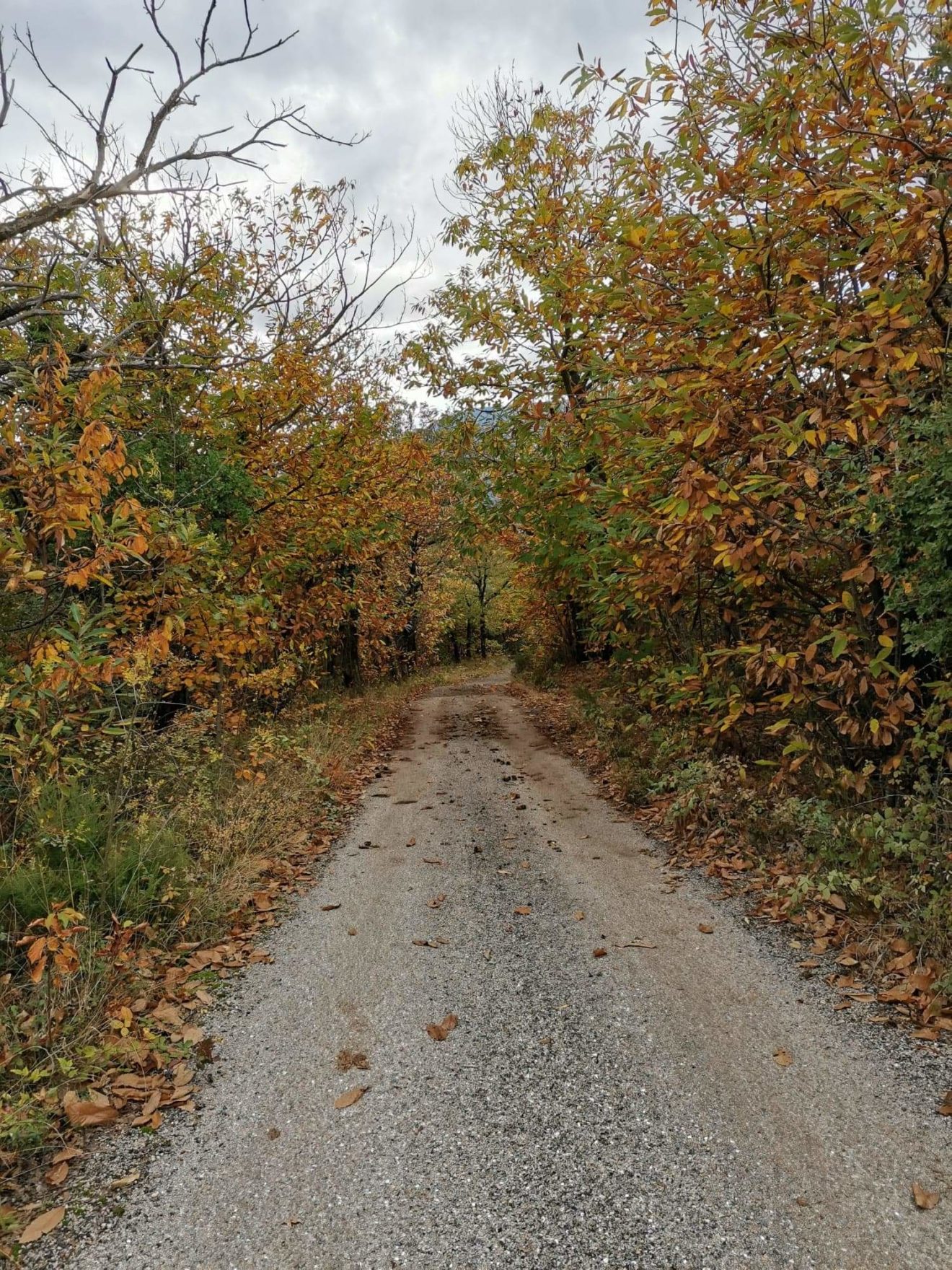 COMMUNE LES AIRES, NOTRE VILLAGE – Le village des Aires
